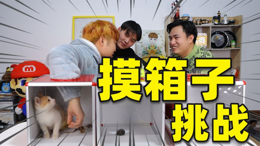 三小伙玩“摸箱子挑战”摸完猜出名称,输了就吃生姜,结果如何?