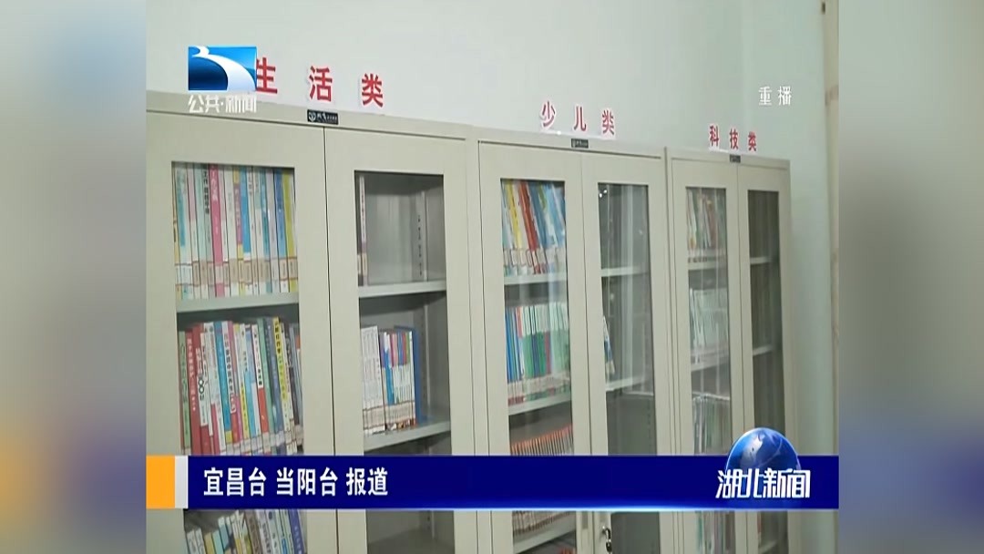 许正中赴宜昌开展“我为群众办实事”实践活动 让数字农家书屋更...
