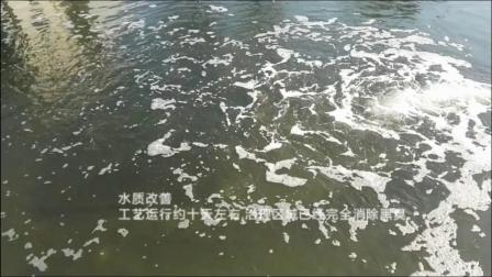 秦皇岛大马坊河水生态修复工程视频案例