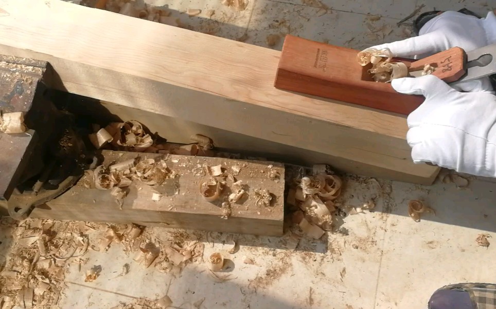 【雅居萌宠】第一次用刨子,收获不少刨花,给鸟安全的铺窝料有了