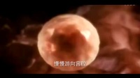生命的奇迹妙不可言, 胎儿形成的全过程, 为我们自己感到幸运吧