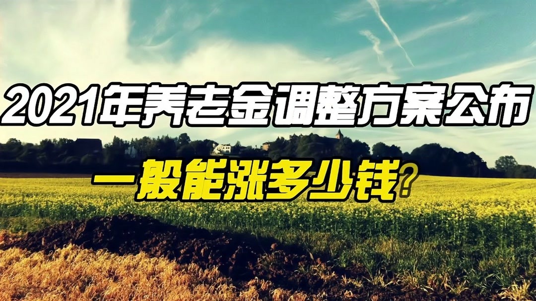 2021年养老金调整方案公布,一般能涨多少钱?