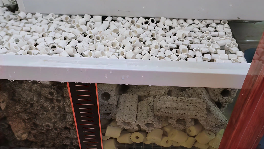 给蝴蝶鲤改造鱼缸过滤,过程很简单,效果还可以