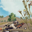 【老撕鸡】游戏解说 