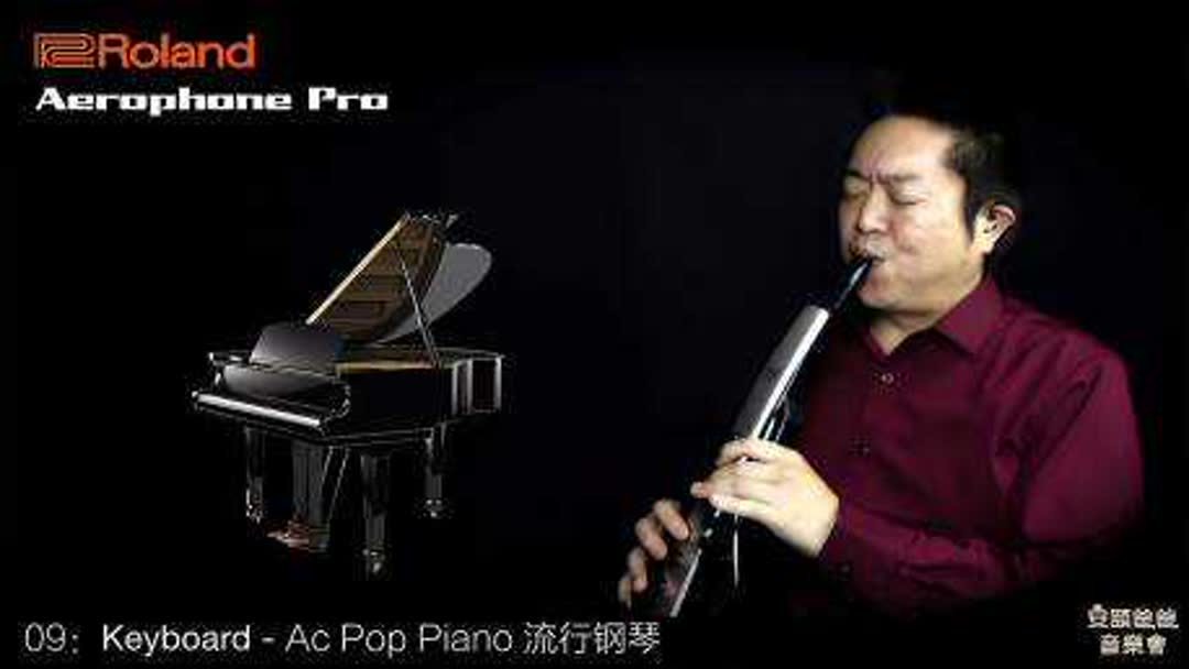 梦中的婚礼 钢琴 Piano 罗兰电吹管 AE30 音色测试