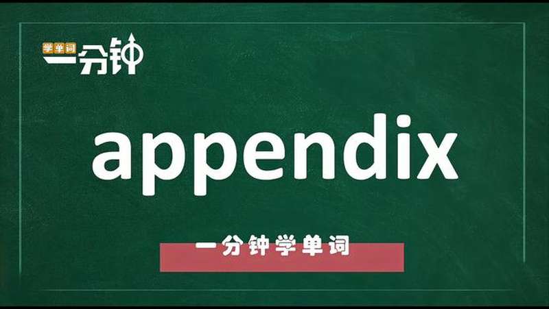 一分钟学英语appendix单词详解