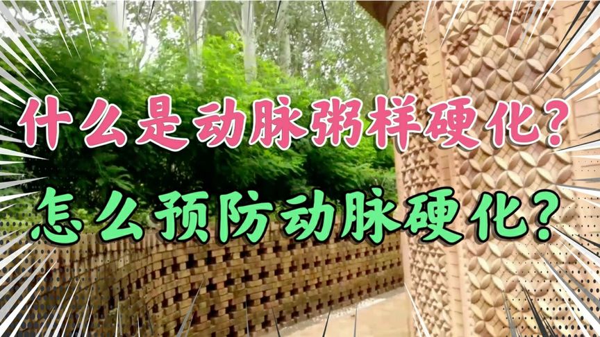 什么是动脉粥样硬化?如何预防动脉硬化?