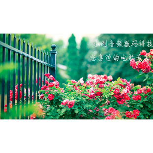丨丶曲终人散 