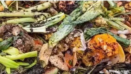 他们把13亿吨烂蔬菜当“鲜果”售卖,竟被日本民众抢疯!