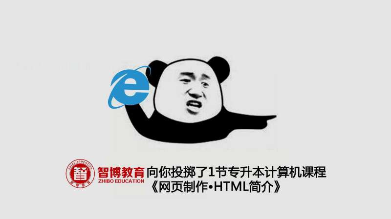 干货|山东专升本计算机备考课程|HTML