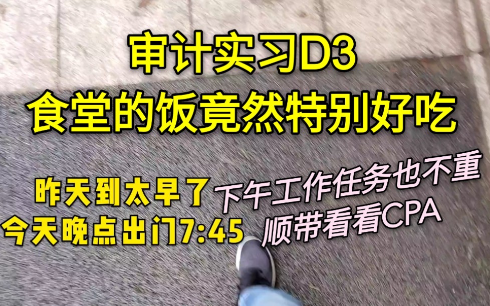 【审计实习D3】上午比较忙一些,有个小伙伴请假了。下午工作任务也...