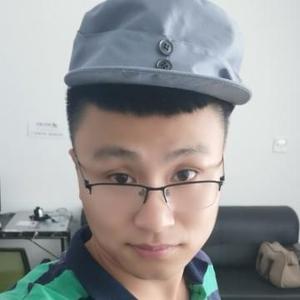 向日葵向着太阳开花 