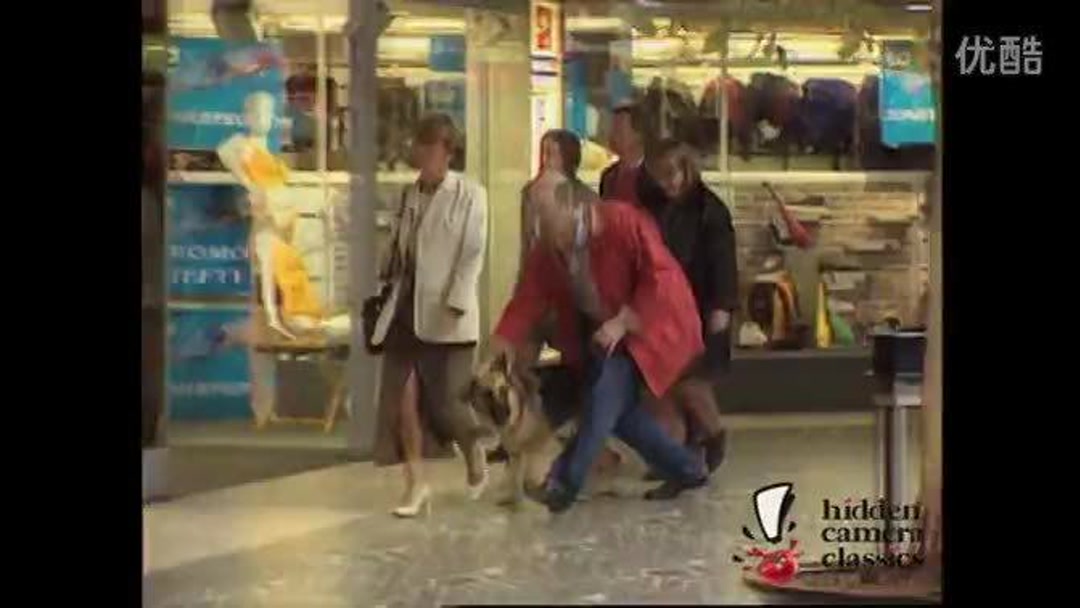 搞笑视频_搞笑图片_狗狗大恶搞(标清版)