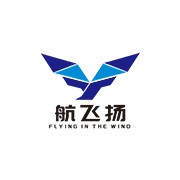 航飞扬带你玩飞行 