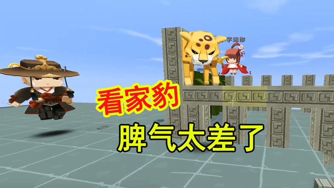 荒岛求生第二季76:八哥修出笼子,要养个看家豹,豹子脾气太差了