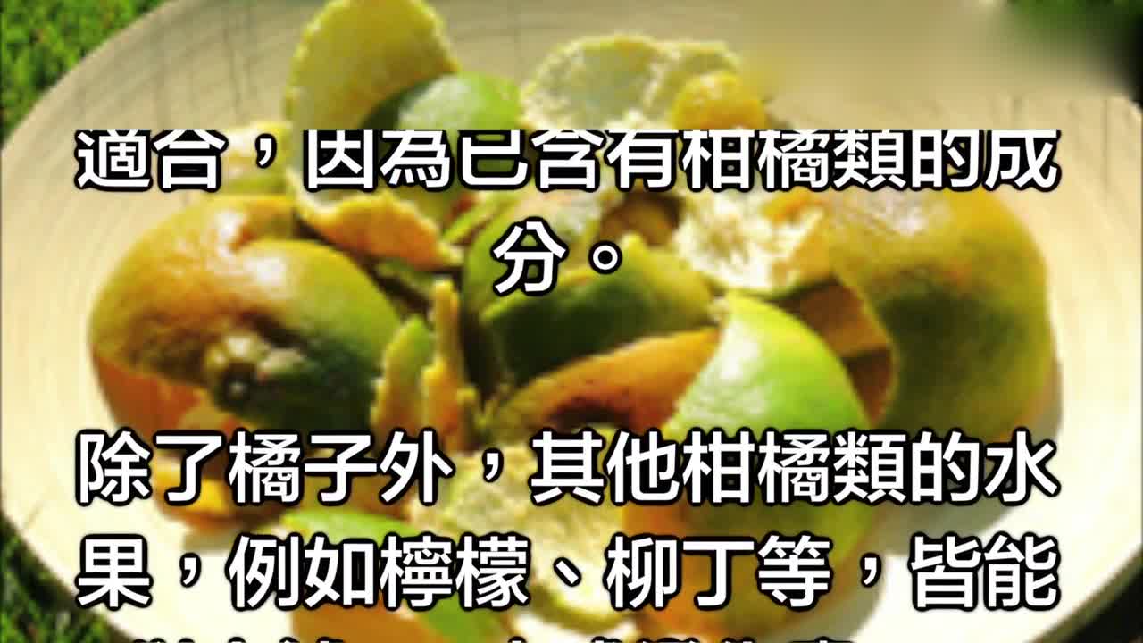橘子皮竟然有这么多神奇用途