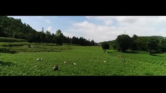 为家乡特产代言—贵州大方,中国皱椒之乡,欢迎投资。