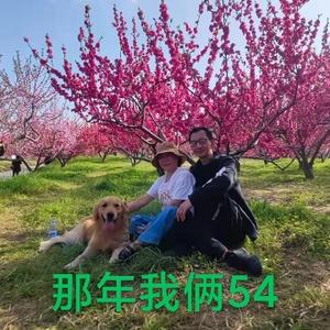 可可说事Keke 