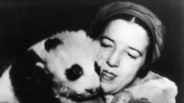 80多年前偷走大熊猫的美国人,将熊猫卖了8000美金,现在怎么样了?