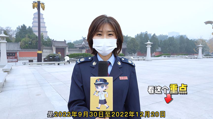 城乡居民医疗保险线上缴费凭证查询(陕西税务)