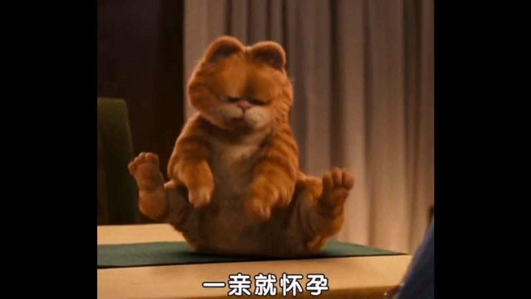 加菲猫爆笑动画:这是一只沙雕加菲猫,看一遍笑一遍