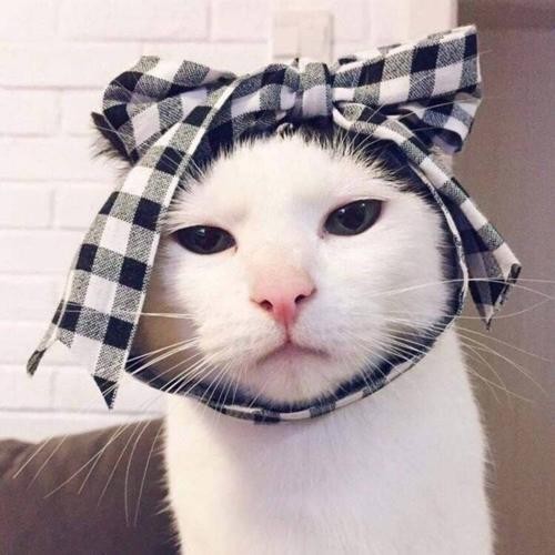 晴心蹦骄巴 