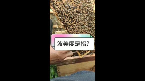 蜂蜜的波美度指的是啥?