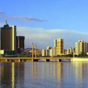 英明果断小鱼oGO 