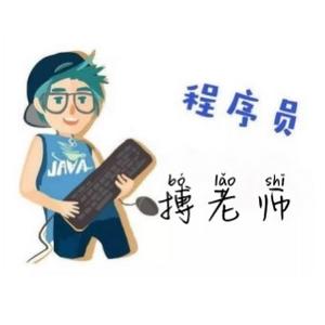 程序员搏老师 