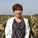 农村小红 