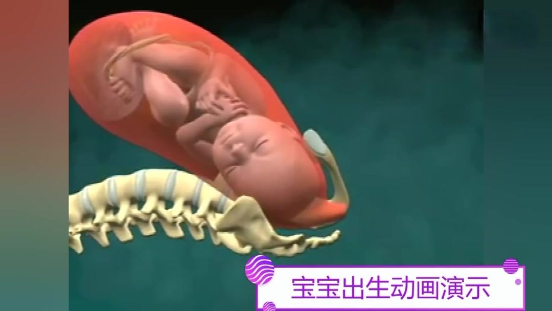 3D动画展示宝宝出生时的样子