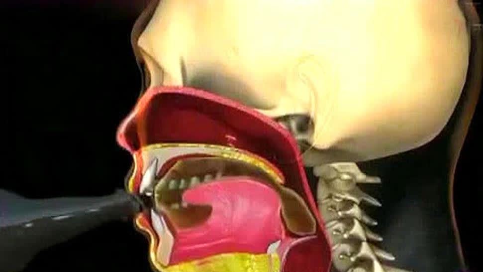 酒精是怎样在人体内代谢的,3D动画演绎全过程,看完后...