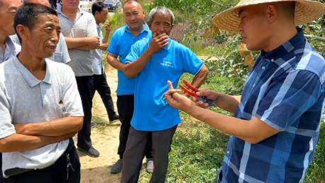 复合肥要不要用?看一下16种元素占果树总营养的比例你再做决定!