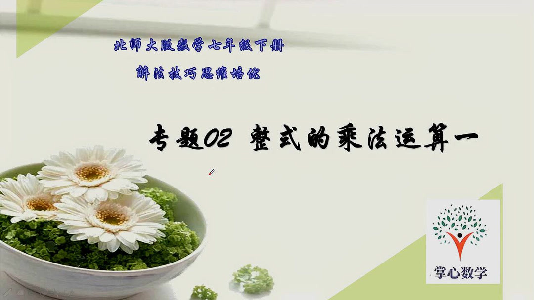 专题02 整式的乘法运算一