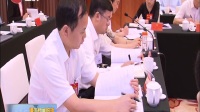 各代表团审议讨论党代会报告 重庆新闻联播 170522