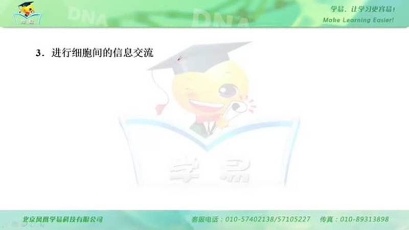 细胞膜——系统的边界