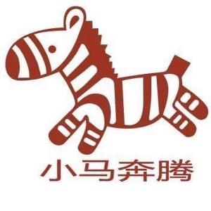 小马奔腾875 