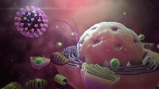 人体内有380万亿病毒,为什么人还这么健康,3D动画解释全过程