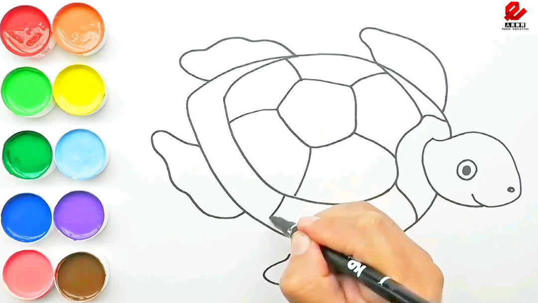 儿童色彩画启蒙教程,乌龟简笔画涂色填色