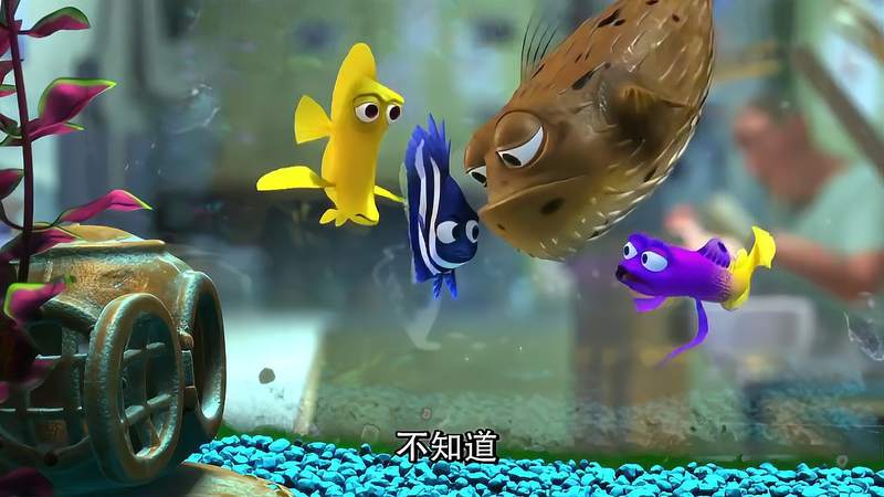 海底总动员:神了,为了从鱼缸中逃脱,这群小鱼连这种事都做到了