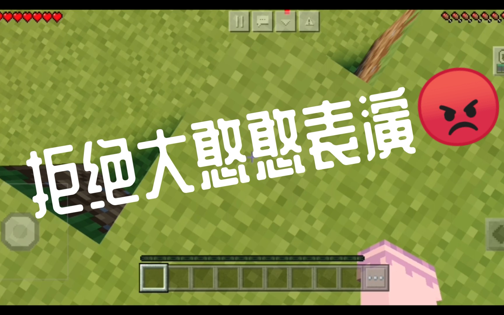 我的世界大憨憨生存(1)?