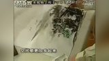 山水画技法--项鸿写意山水画第三部1