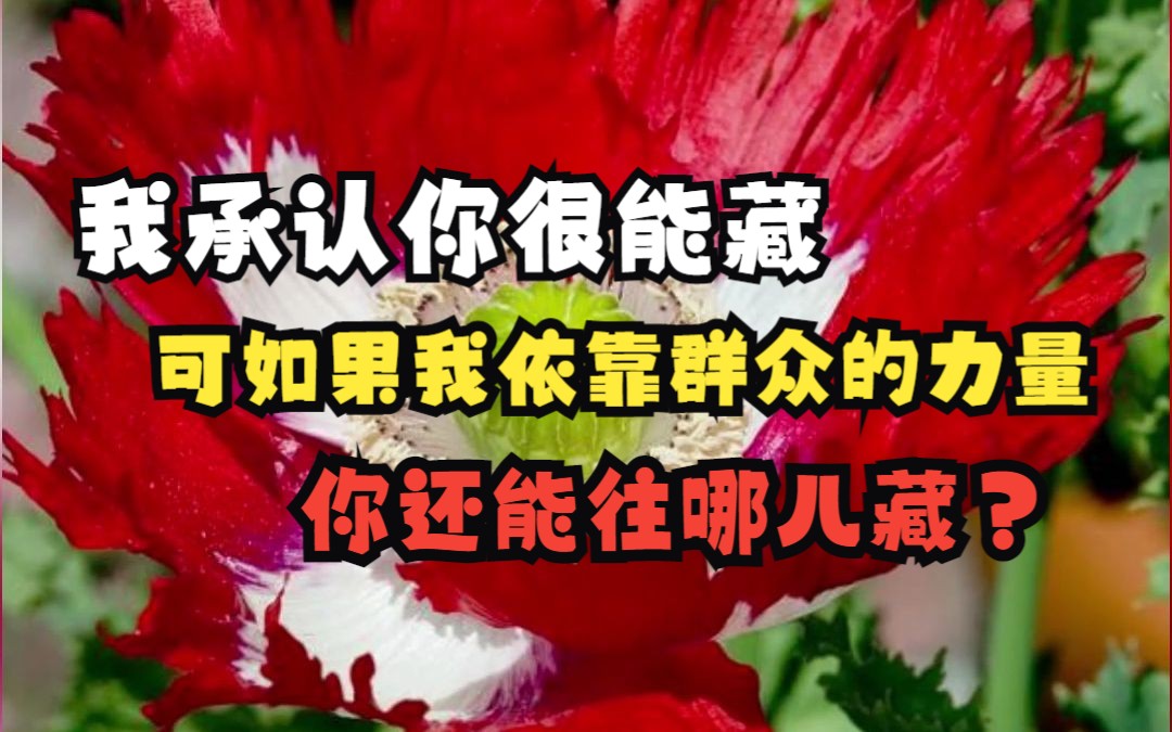 我承认你很能藏,可如果我依靠群众的力量,宣传禁毒知识,你又能藏到哪...
