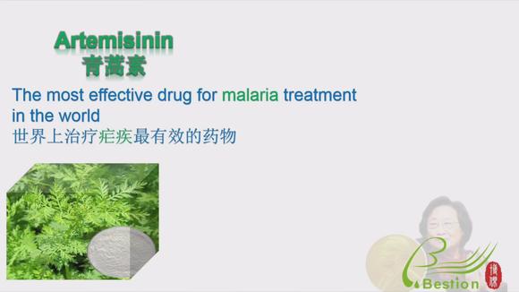 青蒿素提取树脂