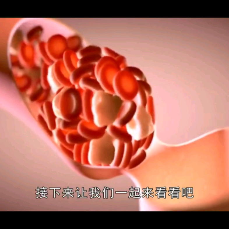 这两种食材经常食用对人体血管有保护作用