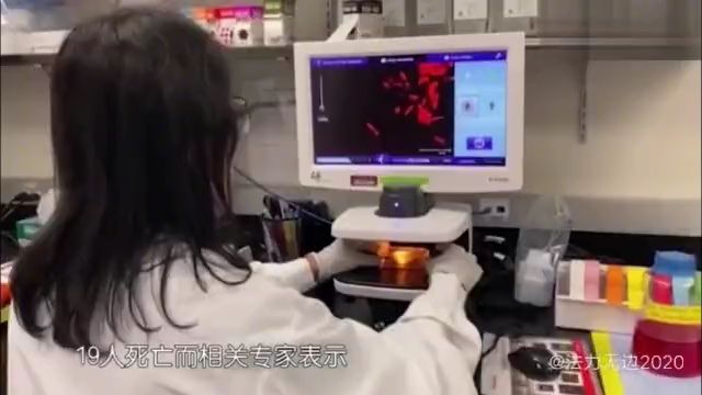 美国流感9600万人确诊50万人死亡?美国本土已拉响警报。