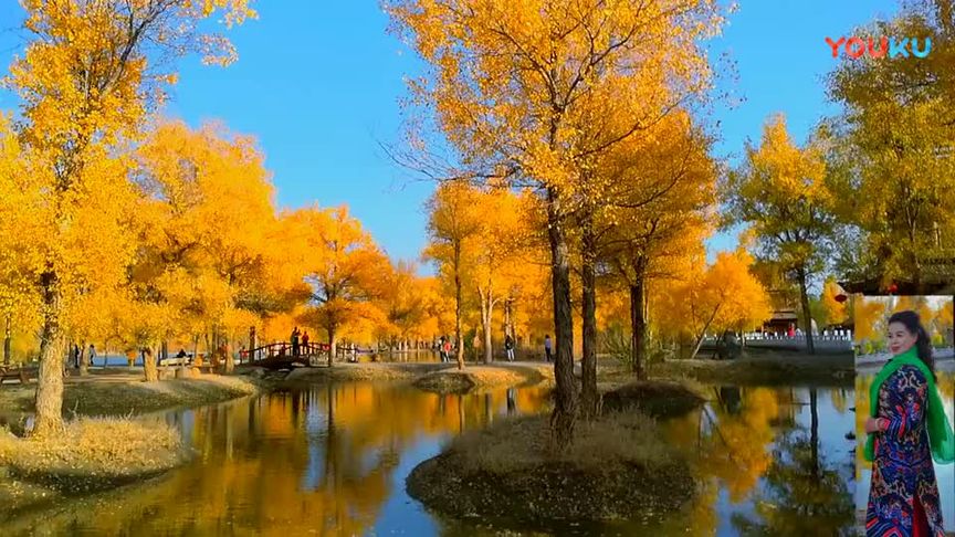 这是我发表在美篇加精的作品,试试能不能发布在抖音里