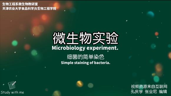 微生物学实验部分 细菌的简单染色