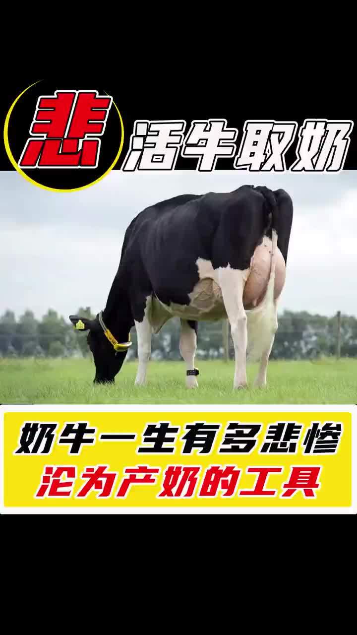 人类为了自己的利益伤害动物,这事做的对吗?