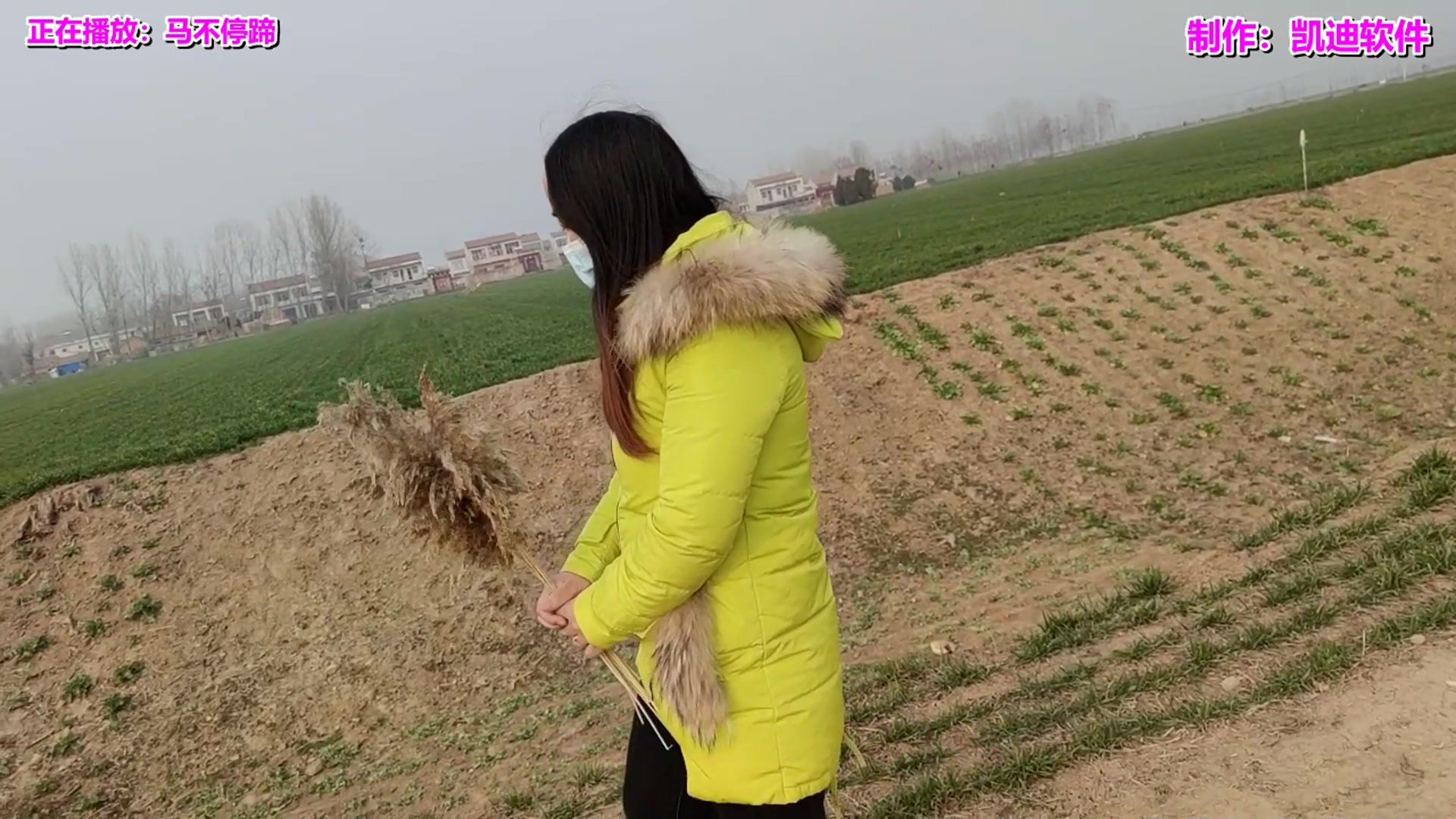 《马不停蹄》《生命之枪(DJ版)》欣赏,做动漫amv用什么软件好